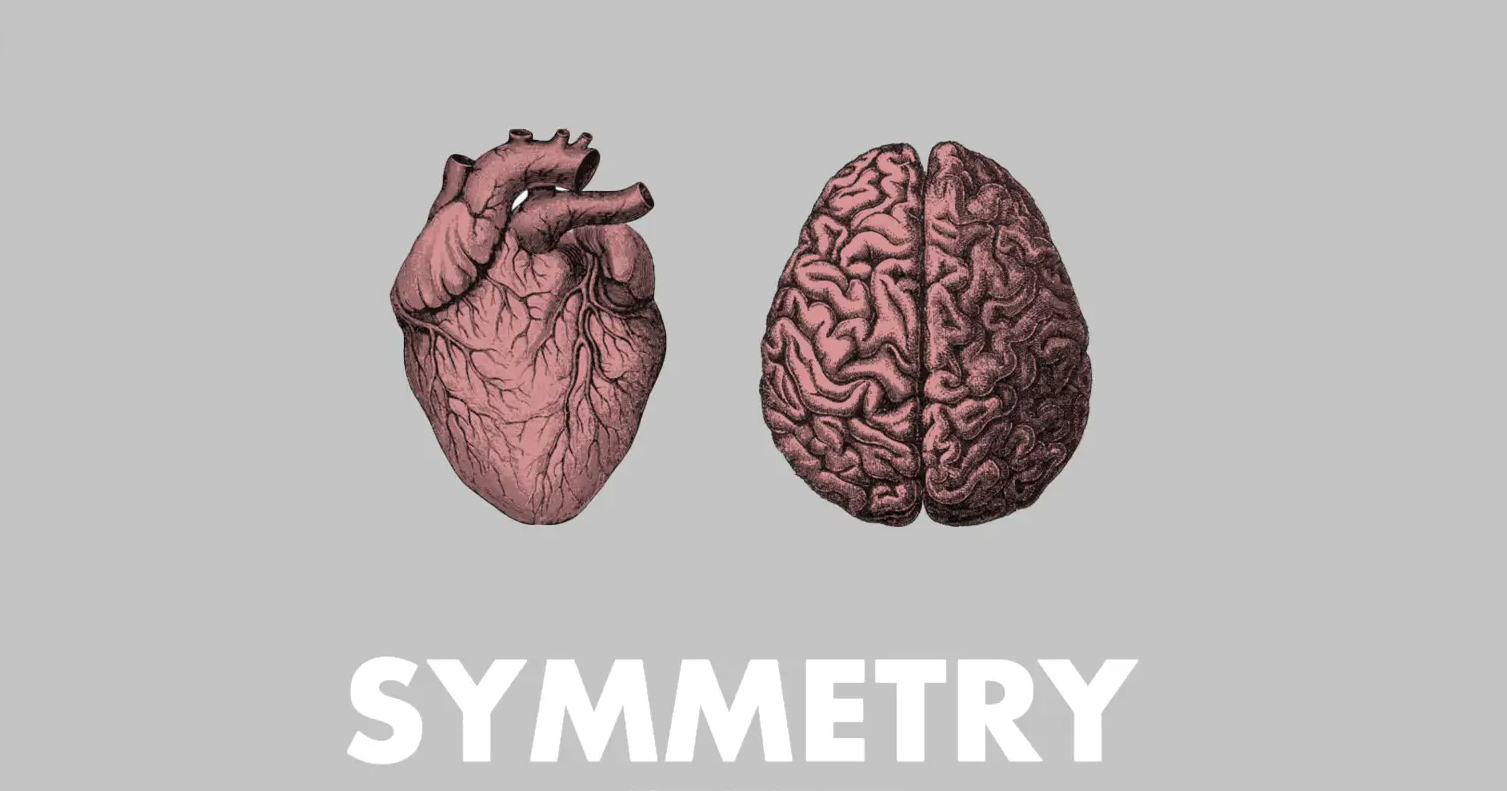 Symmetry: A Wordless Split-Screen Meditation on Duality – The Marginalian