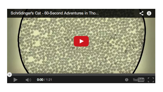 Six Famous Thought Experiments, Animated in 60 Seconds Each – The ...