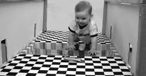 The Visual Cliff: What a 1960 Perception Experiment Reveals About ...