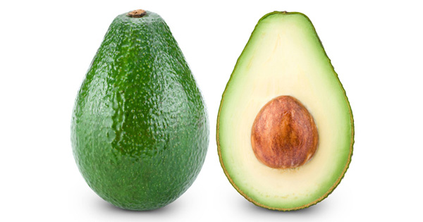 A Ghost of Evolution: The Curious Case of the Avocado, Which Should Be ...