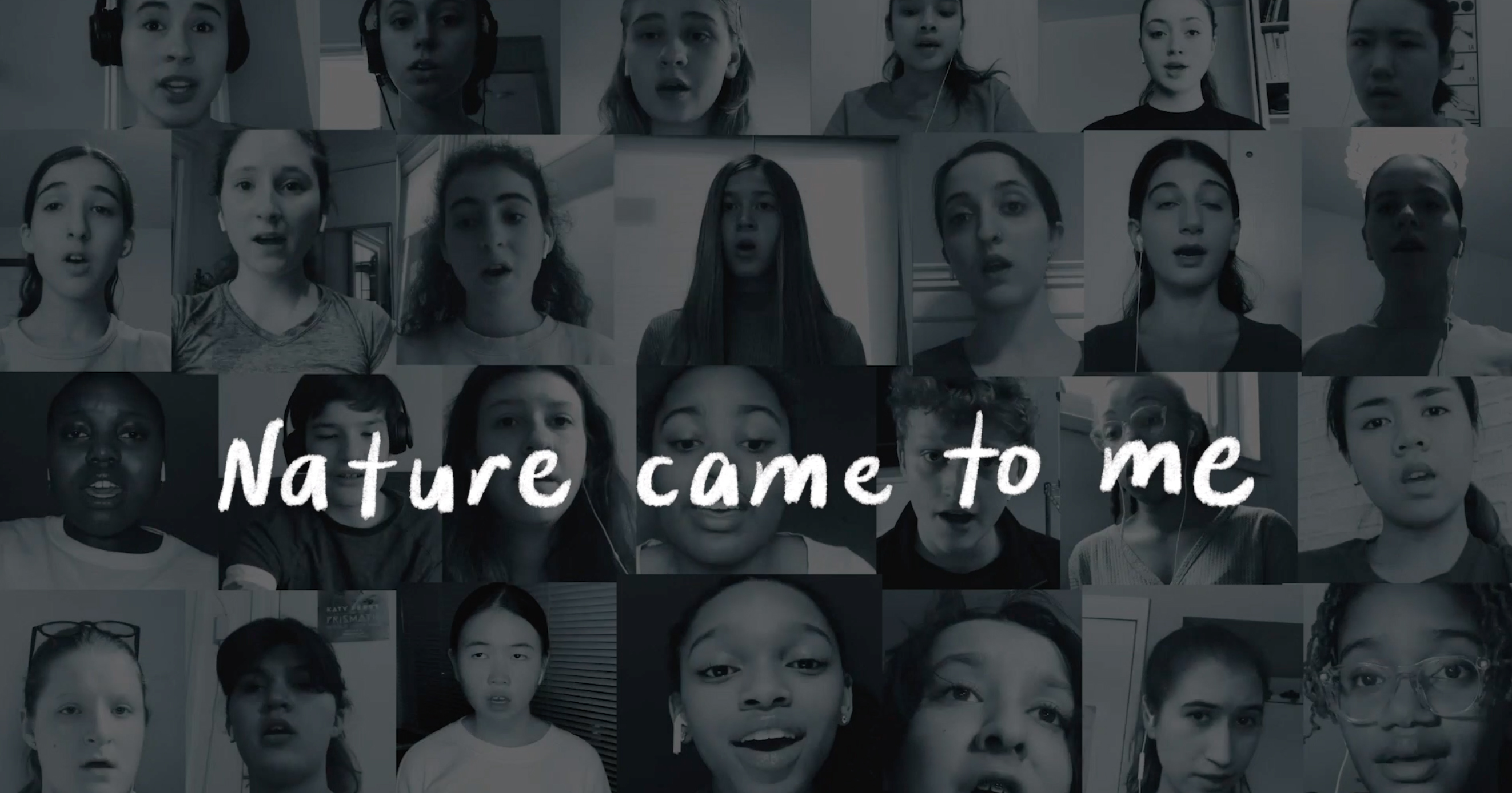 Thrush Song: A Stunning Harmonic Tribute to Rachel Carson’s Courage by ...