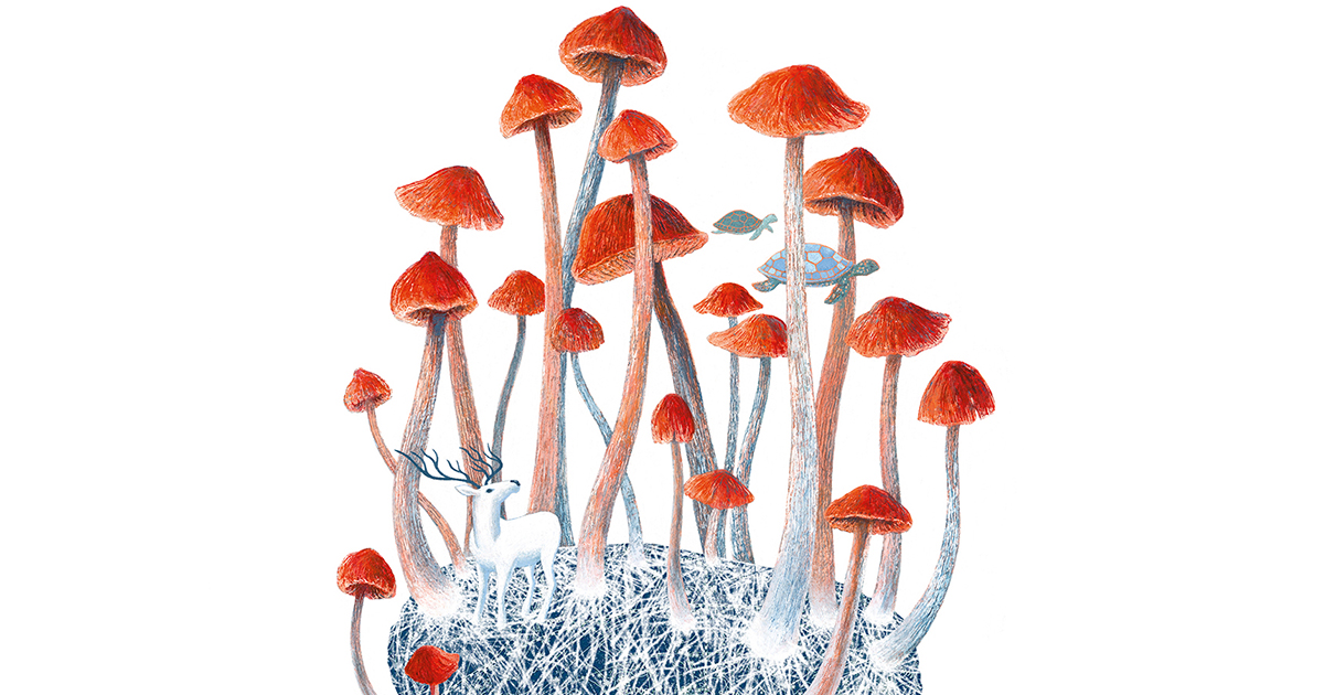 Mushrooms: The Story Behind Sylvia Plath’s Poem About the Tenacity of ...