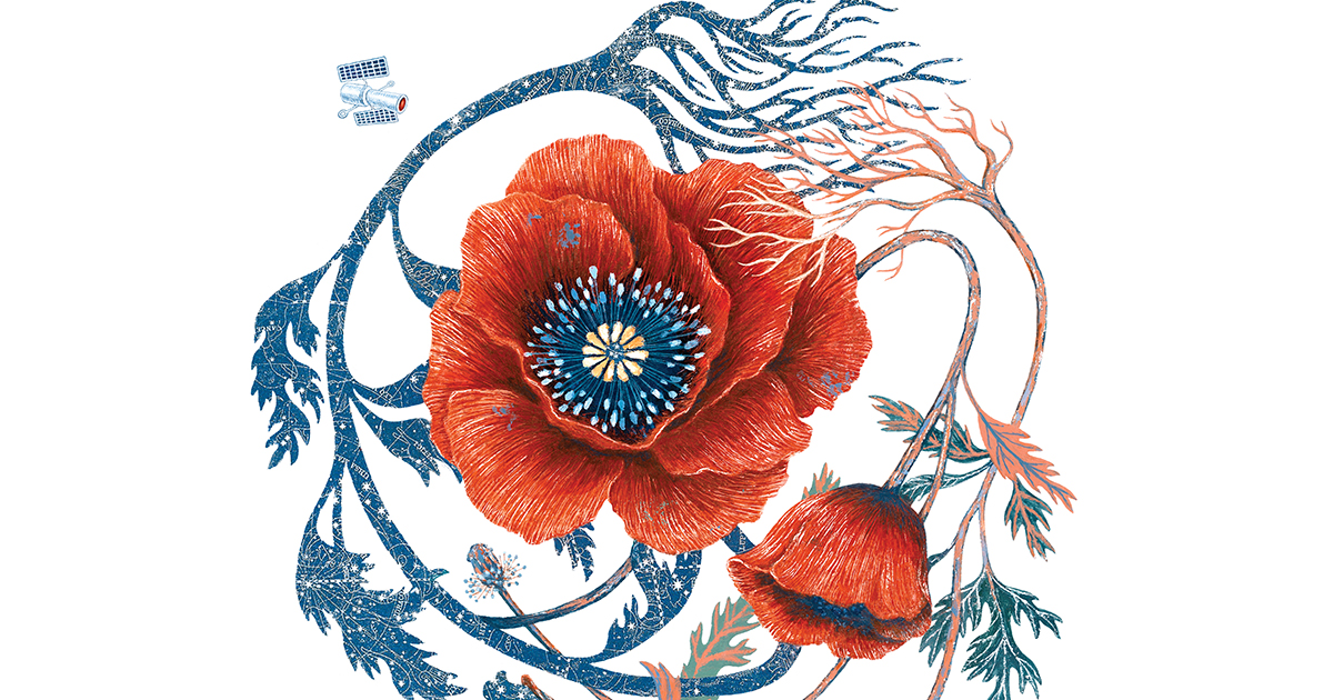 The Universe in Verse Book – The Marginalian